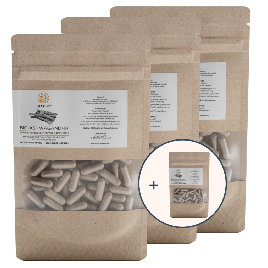 BIO-Ashwagandha KSM66 240 Kapseln (Sie sparen 31%) - leafium